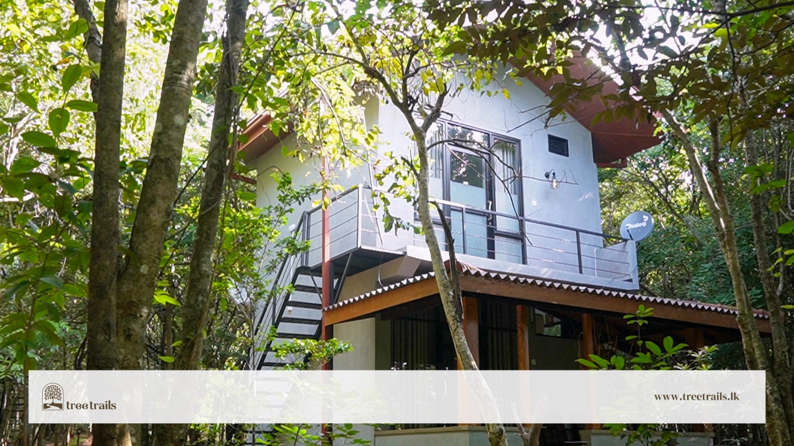 tree trails - Sigiriya